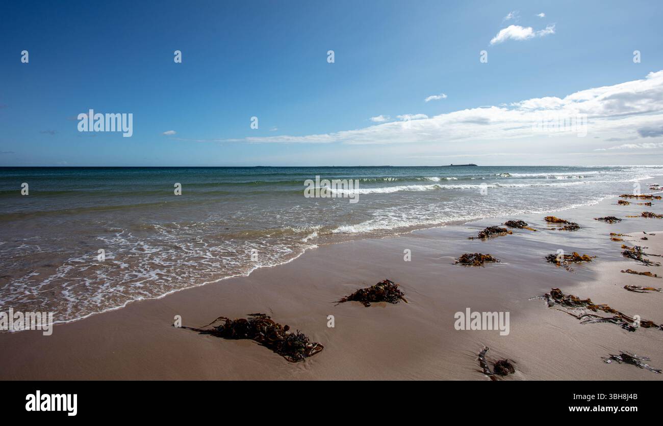 Bamburgh Beach Northumberland UK in Summer Stock Photo - Alamy