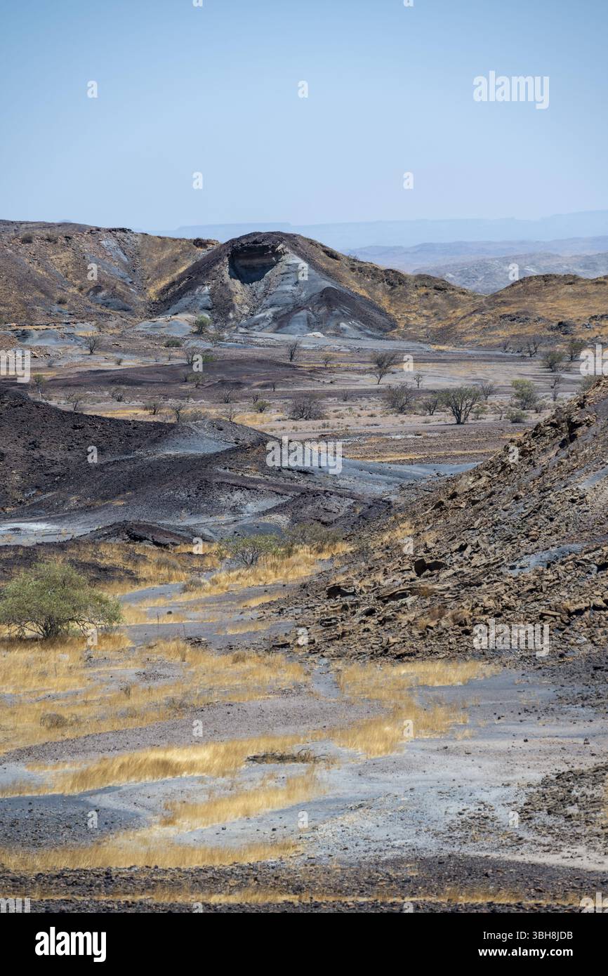 Dry landscape with yellow grass and black volcanic hills, Burnt ...