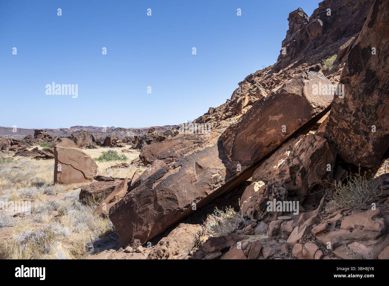 Depictions of animals on a rock slab, petroglyphs, rock engravings ...