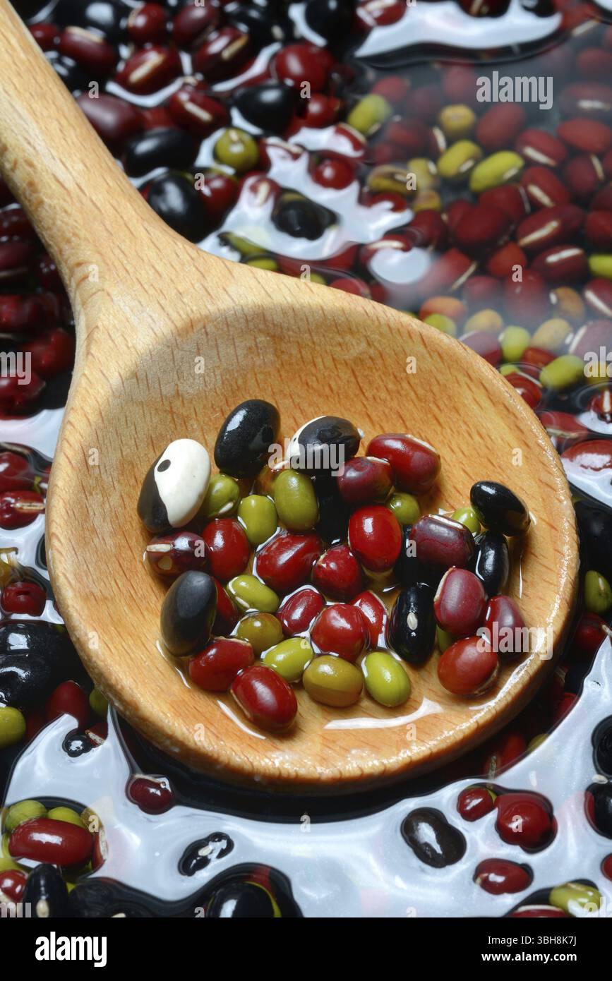 Dried beans placed in water to soak, wooden spoon Stock Photo - Alamy