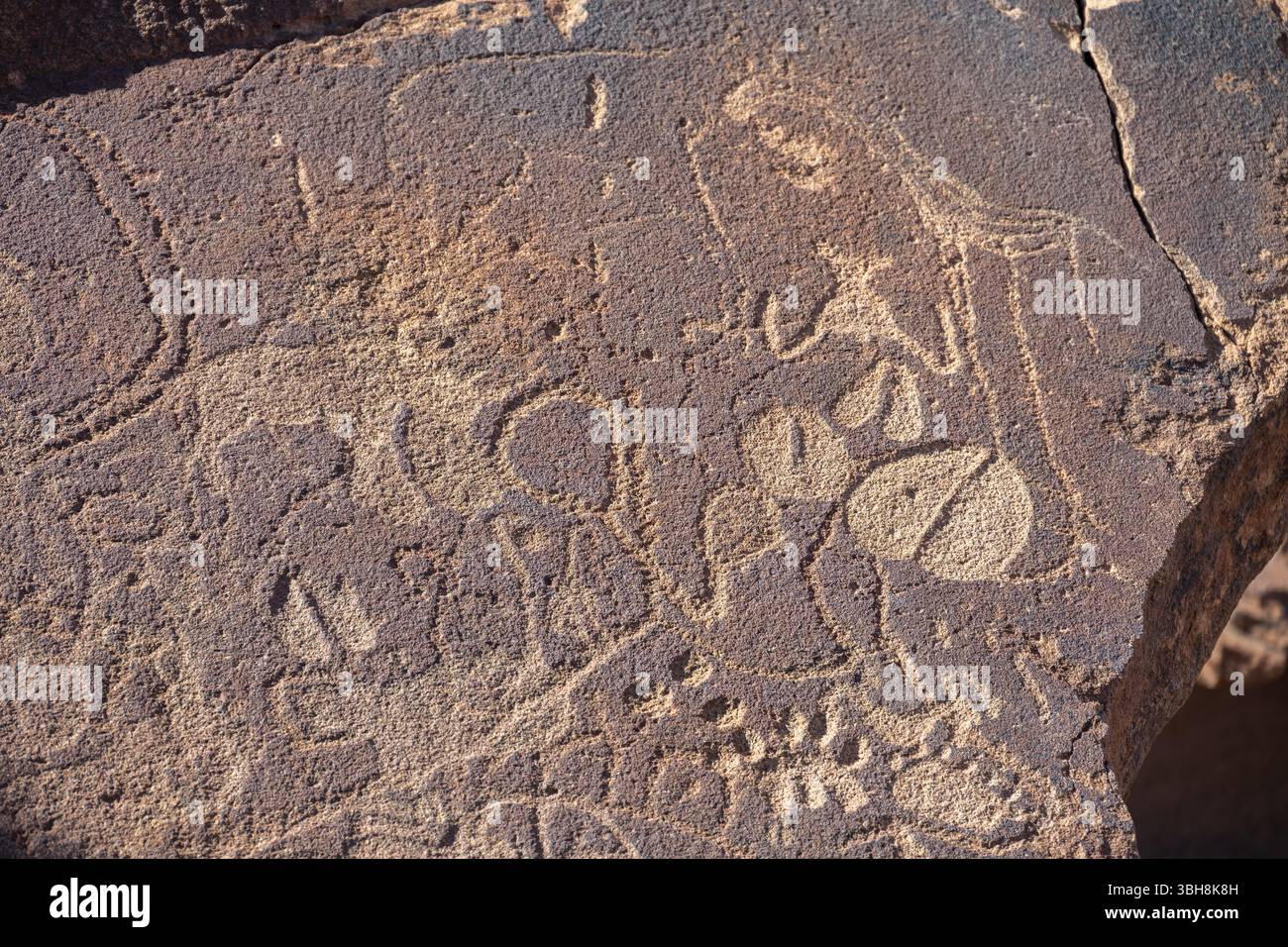 Detail, Depictions of animals on a rock slab, petroglyphs, rock ...