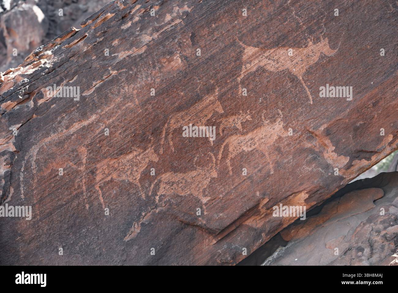 Depictions of animals on a rock slab, petroglyphs, rock engravings ...