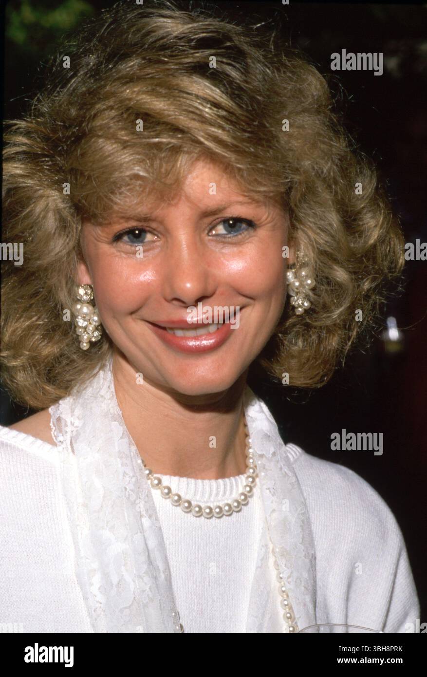 Dianne Kay Circa 1980's Credit: Ralph Dominguez/MediaPunch Stock Photo - Alamy