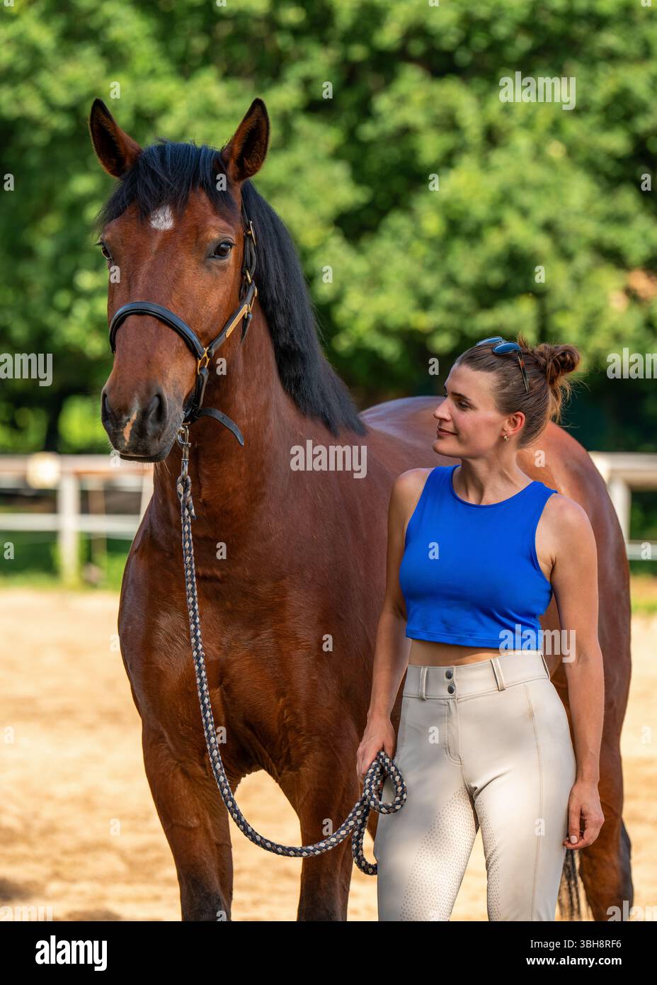 Elegant racehorse with female rider in equestrian outfit standing on a ...