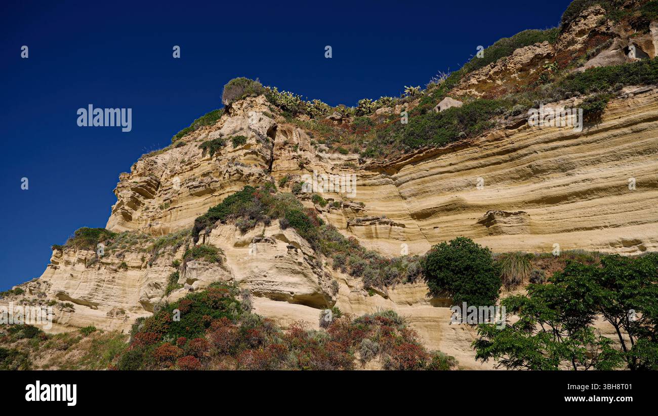 Sandstone cliffs showing signs of erosion with vegetation growing on ...