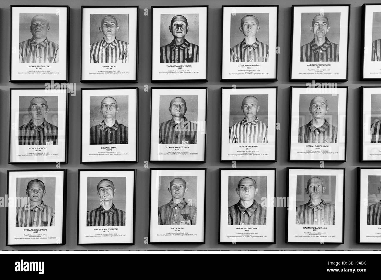 Polish war victims hi-res stock photography and images - Alamy