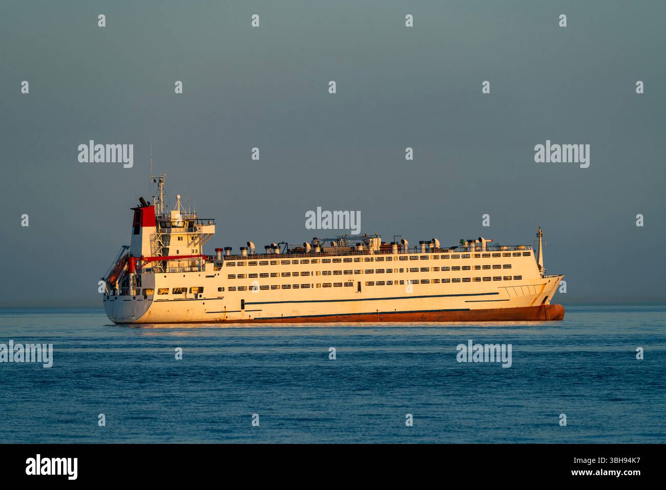 Large livestock carrier ship sailing on sea at sunset Stock Photo - Alamy
