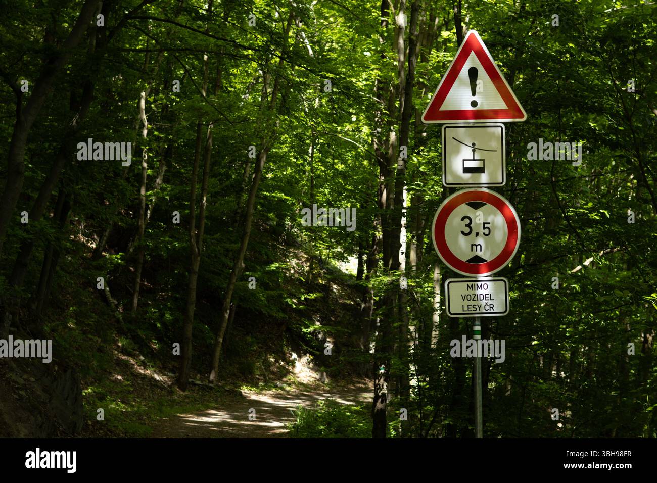 Traffic signs in a dense green forest. Warning sign for caution and a ...