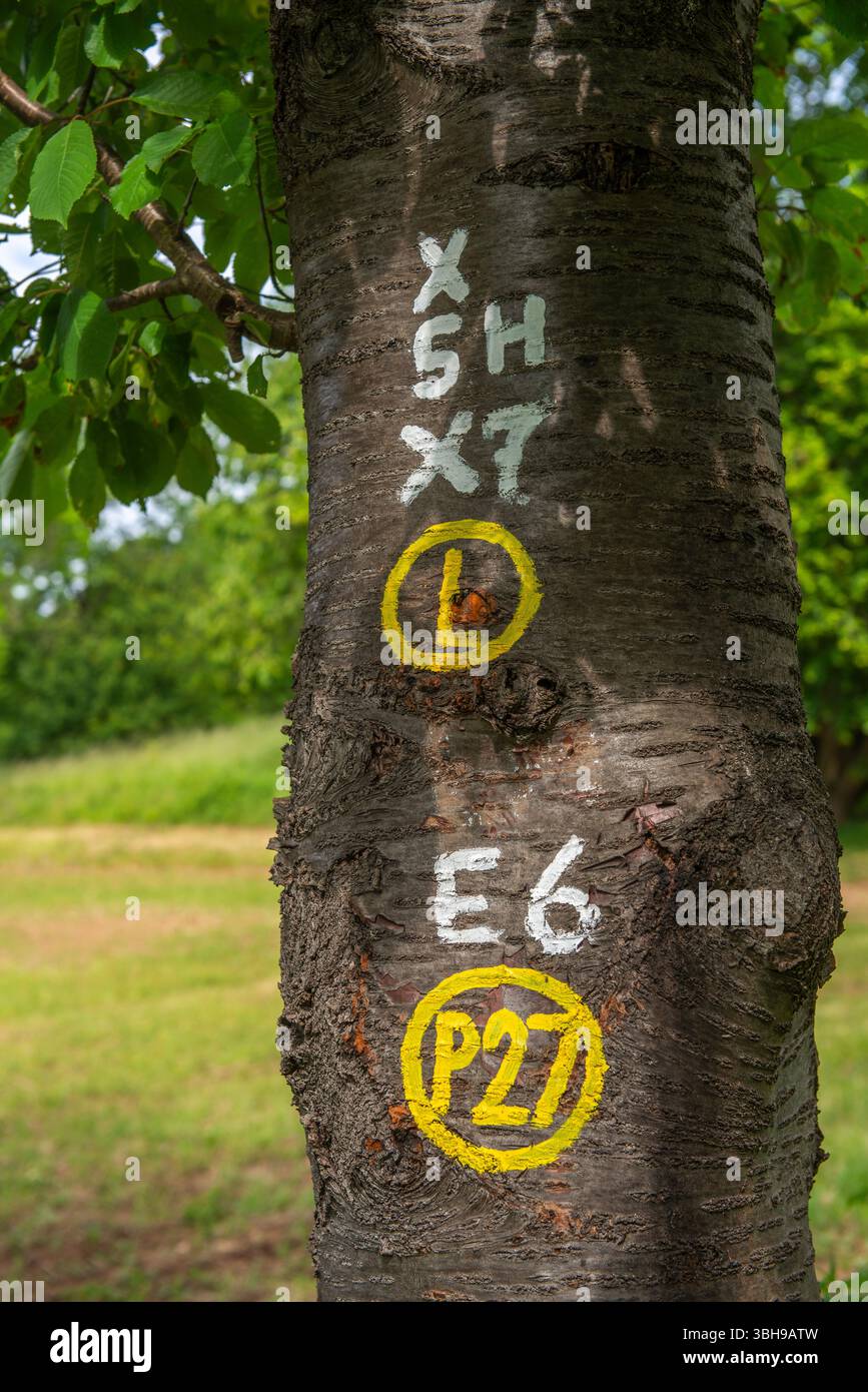 Numbered trails hi-res stock photography and images - Alamy