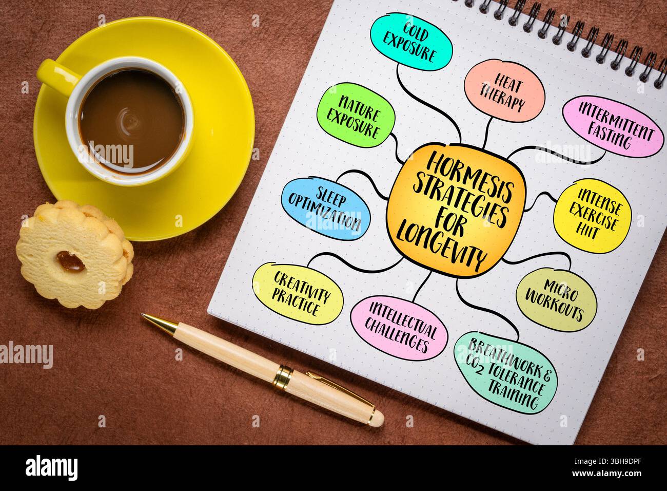 Home based hormesis strategies for healthy aging and longevity ...