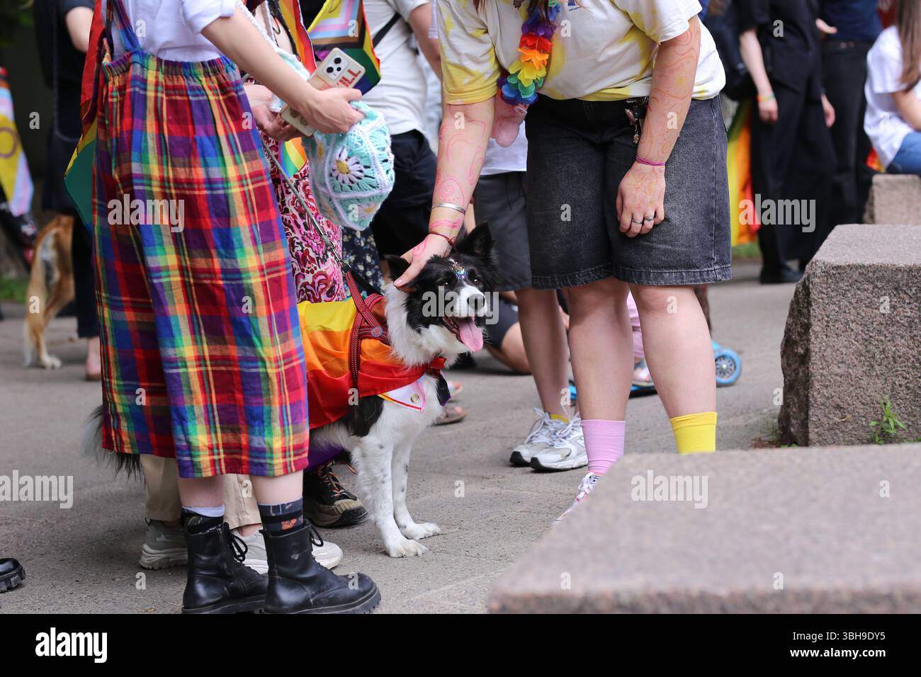 Vilnius, Lithuania - June 7th, 2025: Dog amongst the crowd at the ...