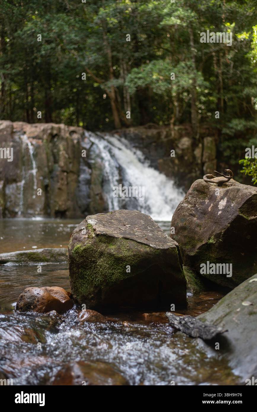 Cave waterfall springbrook national park hi-res stock photography and ...