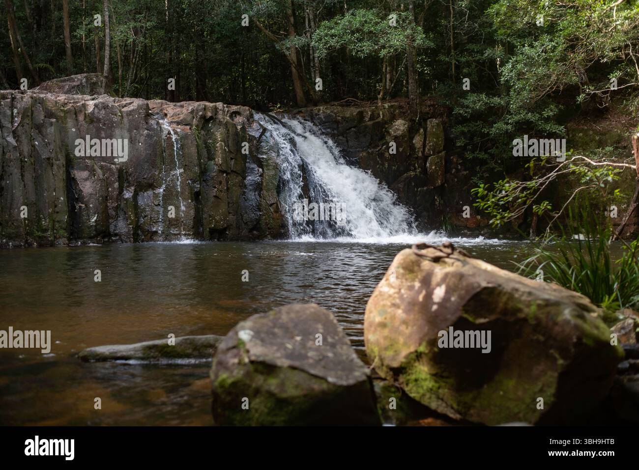Plant national park bridge hi-res stock photography and images - Alamy