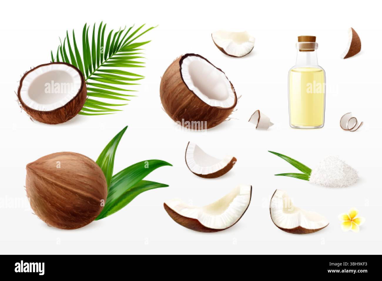 Realistic coconut. 3d coco slice, coconuts iol cosmetic cream milk 3d ...