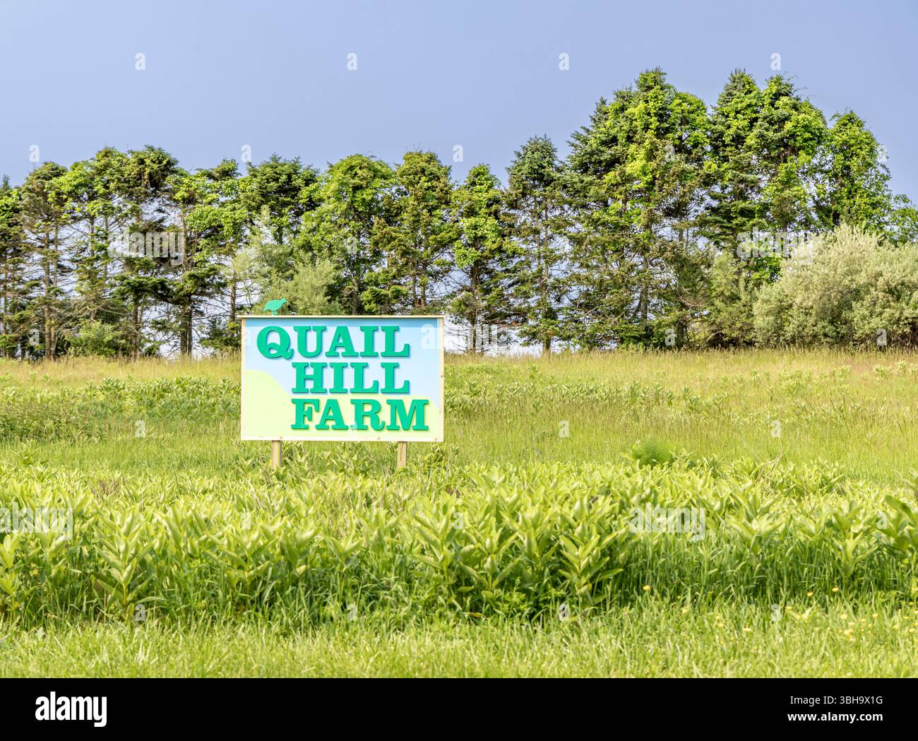 sign for quail hill farm in a natural setting Stock Photo - Alamy