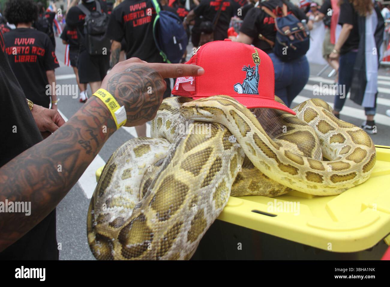 New York, USA. June 8, 2025, New York City, New York: (new) 2025 puerto ...