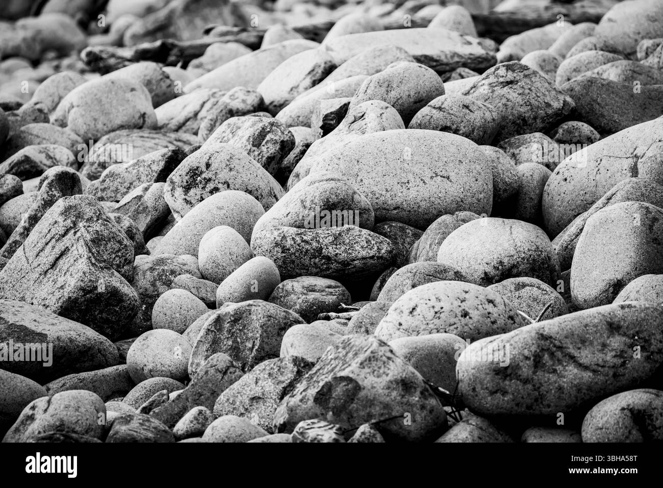Black And White Of Large Rocks On Acadia Beach close up Stock Photo - Alamy