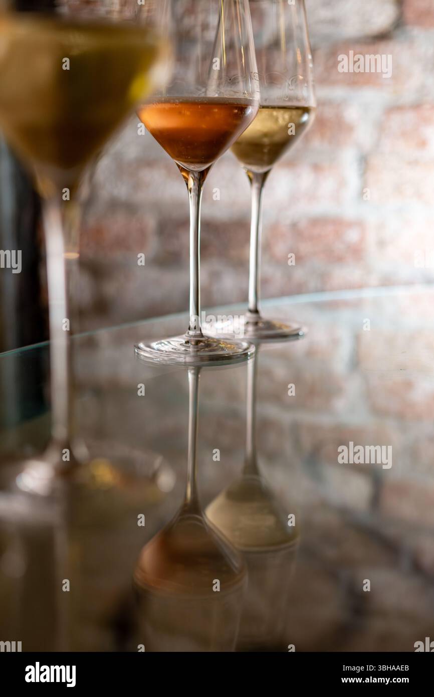 Visit of wine cellar, tasting of brut champagne sparkling wine produced by traditional method in ...