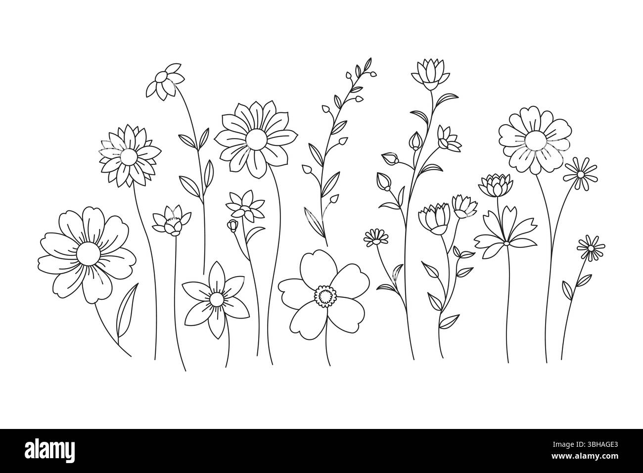 Line art illustration of various wildflowers and botanicals creating a ...