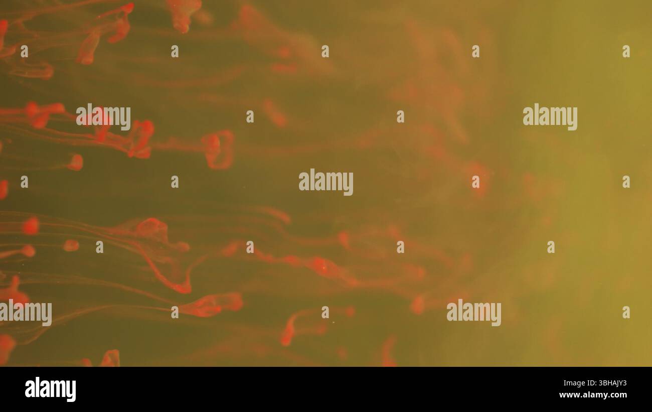 Vertical video fluid splash color hi-res stock photography and images ...