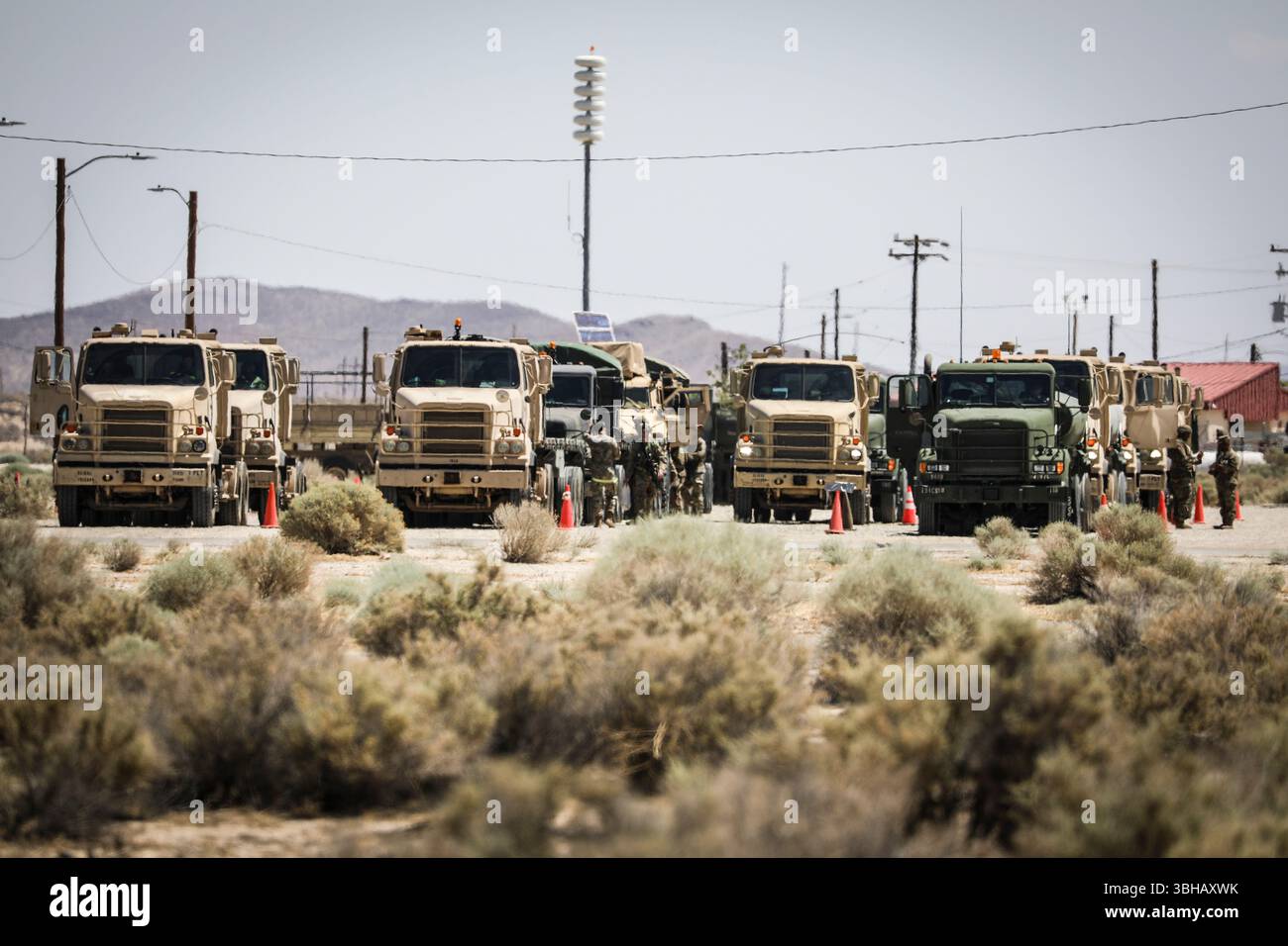 U.S. Army Reserve Soldiers from the 419th Transportation Company(TC ...