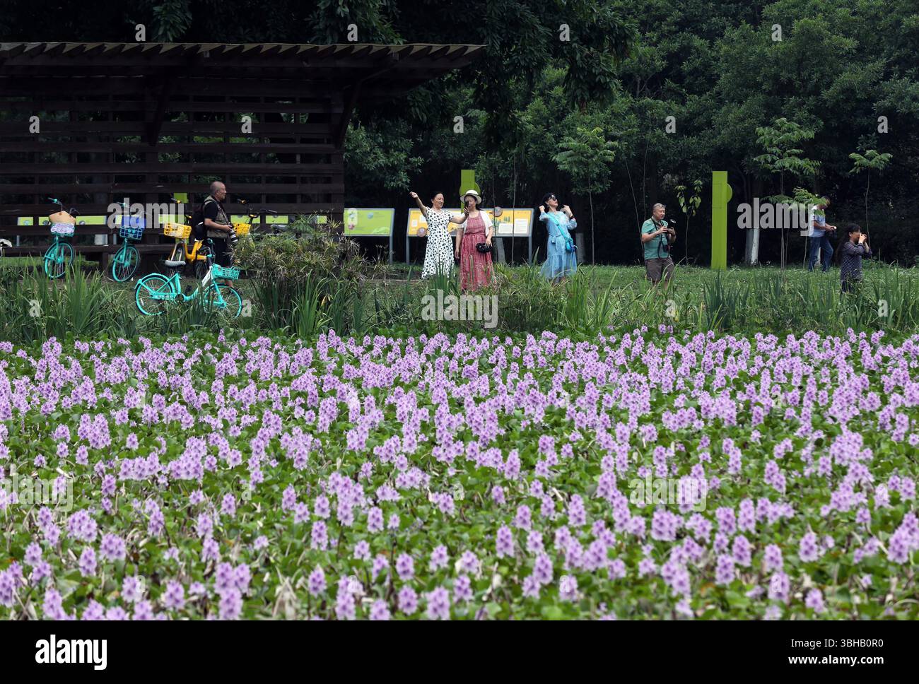 **CHINESE MAINLAND, HONG KONG, MACAU AND TAIWAN OUT** Tourists admire ...
