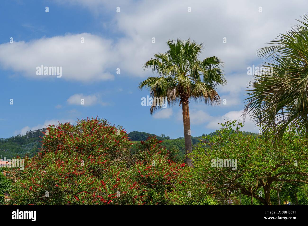 the city of Bilbao in the basque land Stock Photo - Alamy