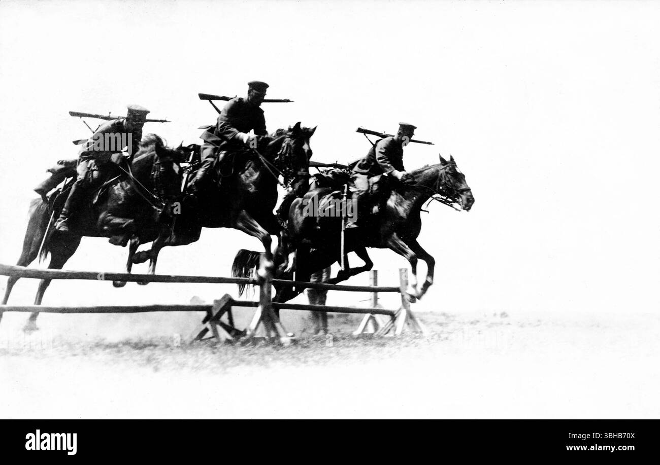 High contrast horse photography Black and White Stock Photos & Images ...