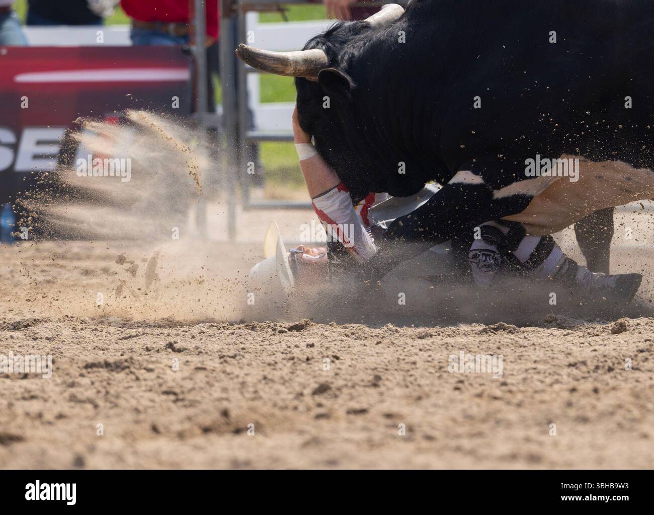 Mono, Canada. 8th June, 2025. A bullfighter is knocked down by a bull ...