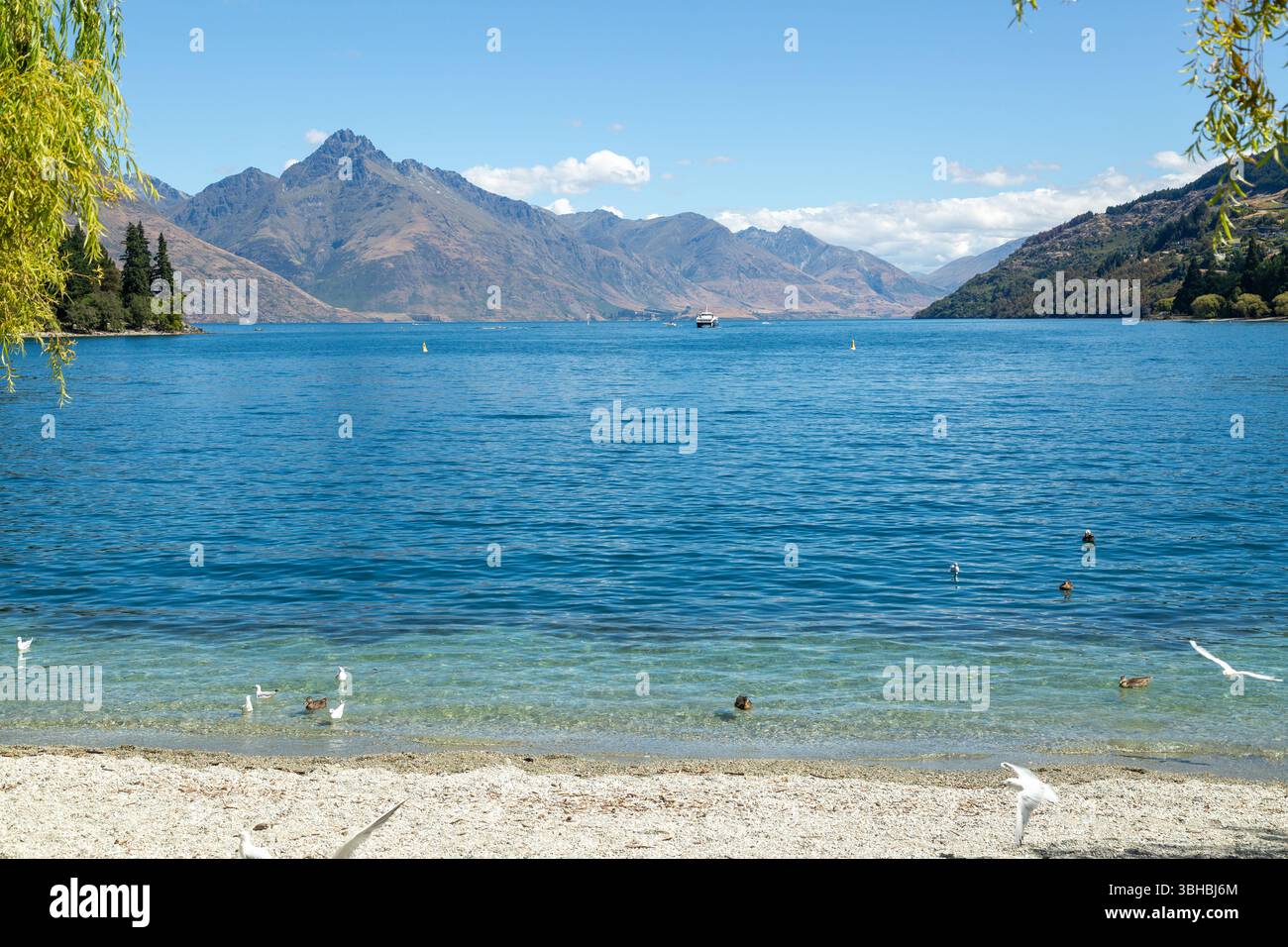 Queenstown Bay Beach and Lake Whakatipu on a summers day looking ...