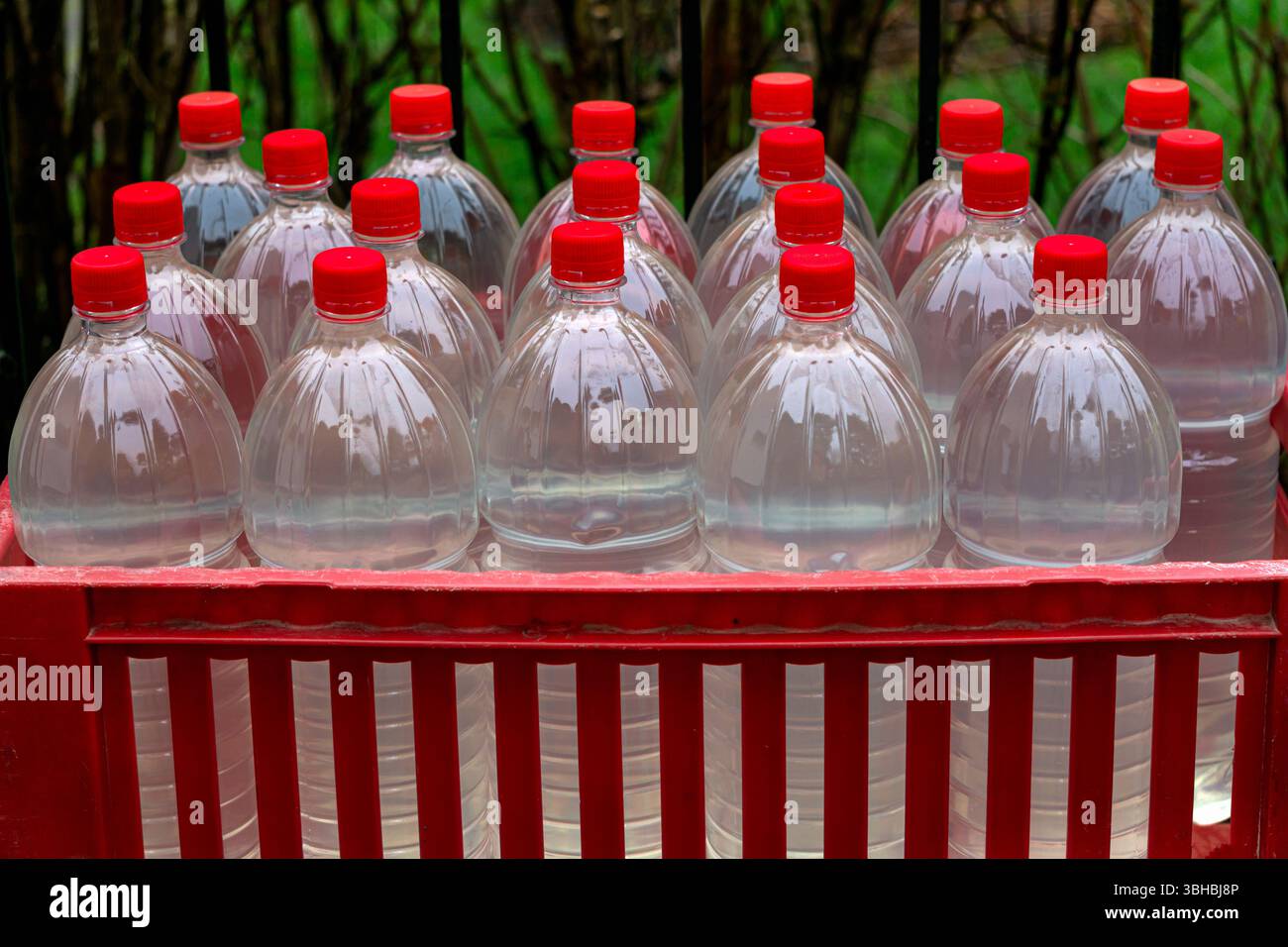 Plastic bottles filled with water in a box with red caps Stock Photo ...
