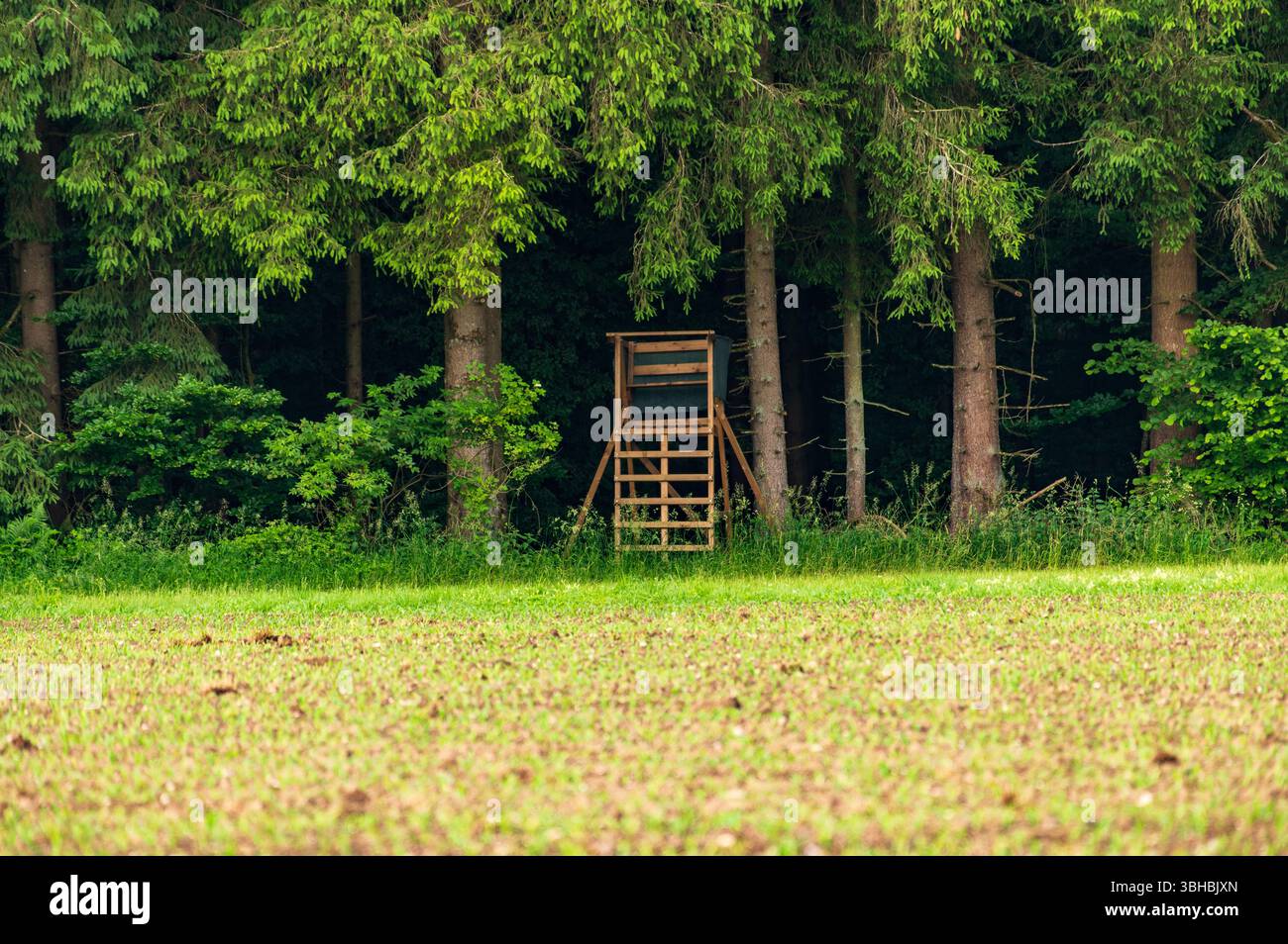 Hunting box stand hi-res stock photography and images - Alamy