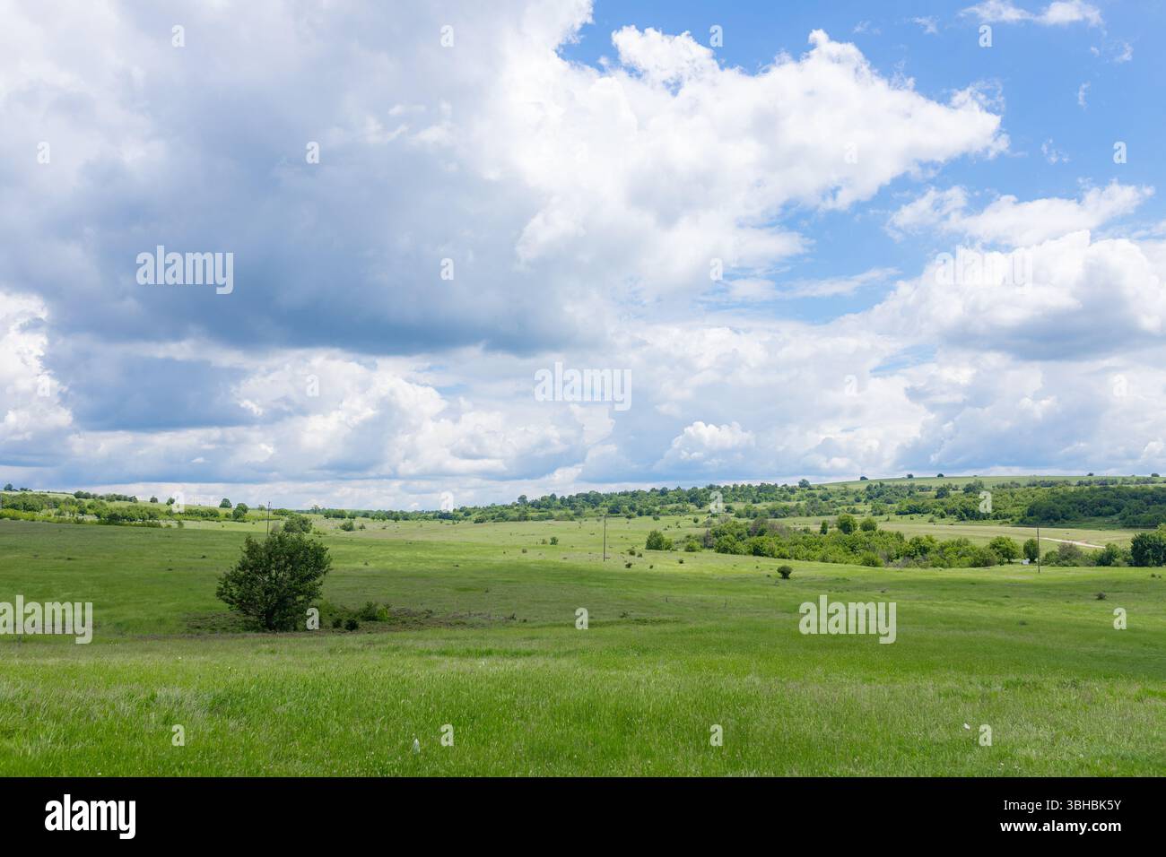 Expansive green pasture under vibrant cloudy sky with distant forested ...