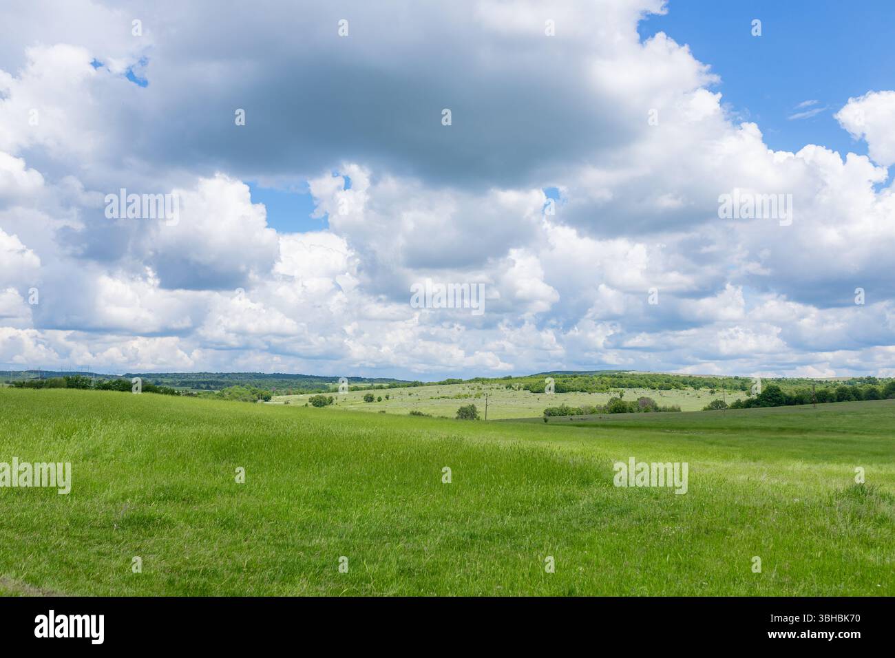 Expansive green field filled hi-res stock photography and images - Alamy