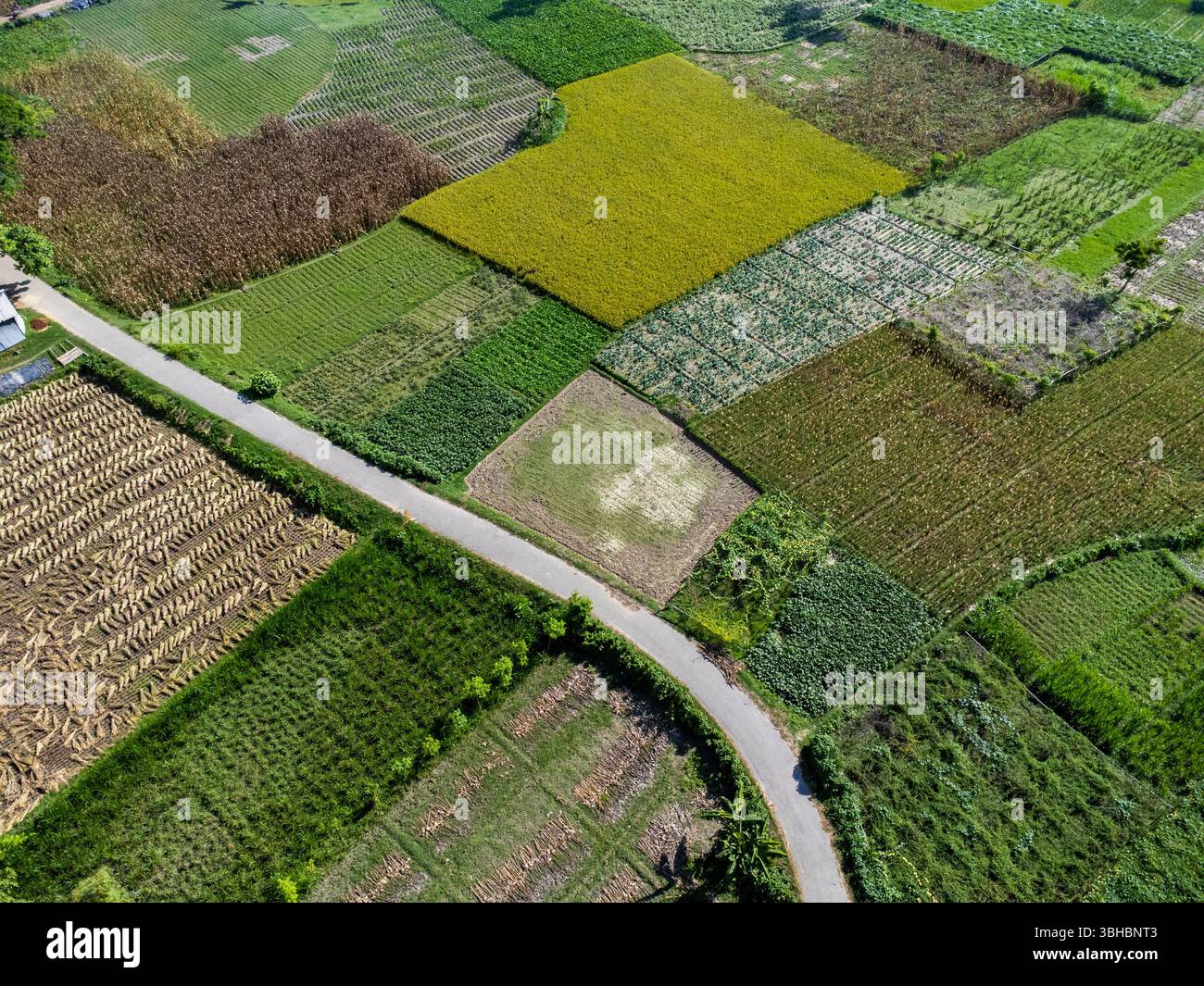 Rural bangladesh hi-res stock photography and images - Alamy