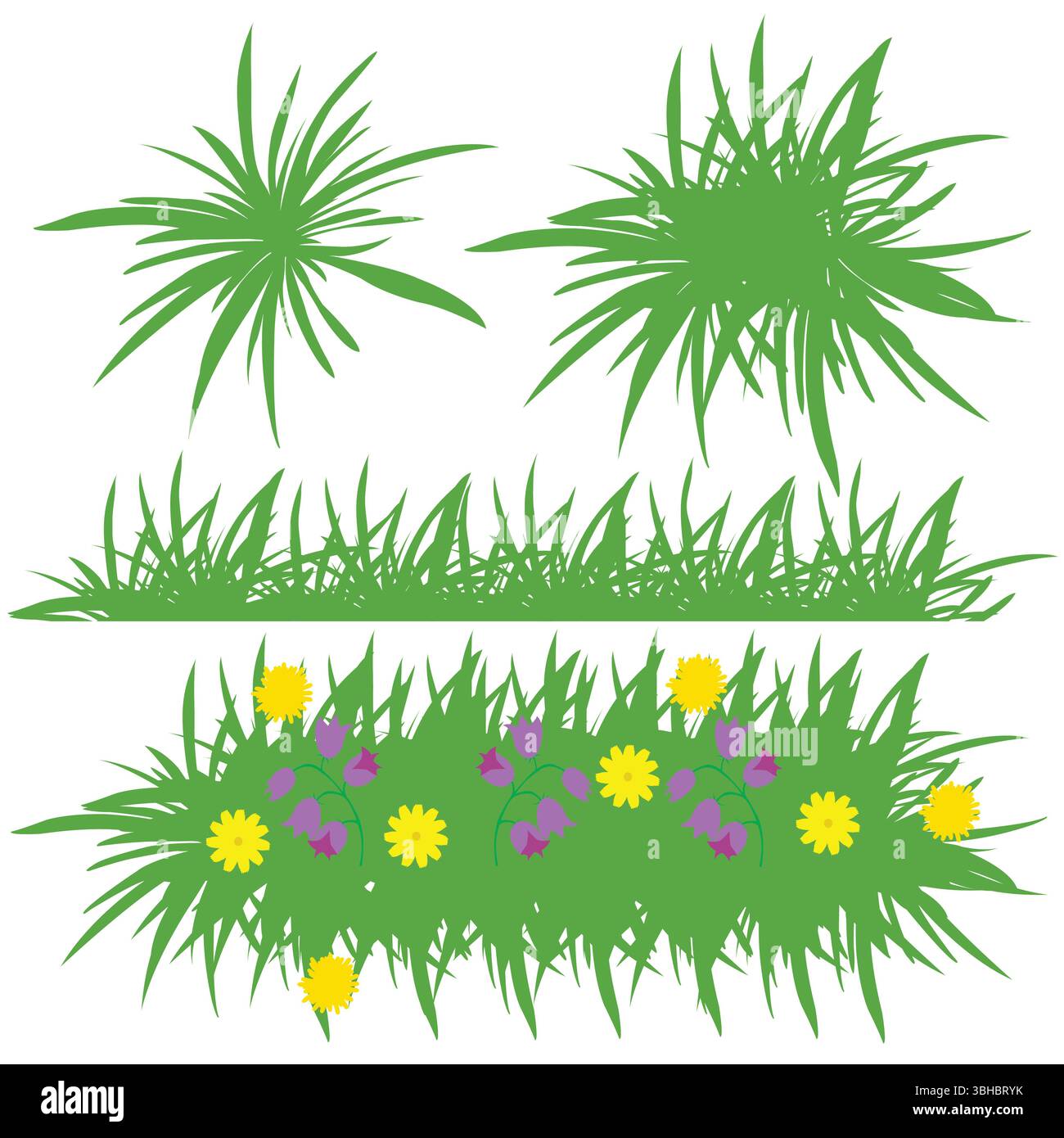 Set of grass on white background. Green bush blossom. Green grass set ...