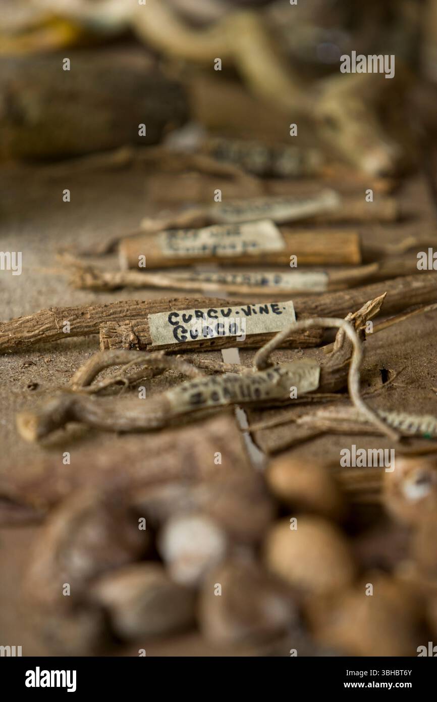 Herbal sample hi-res stock photography and images - Alamy