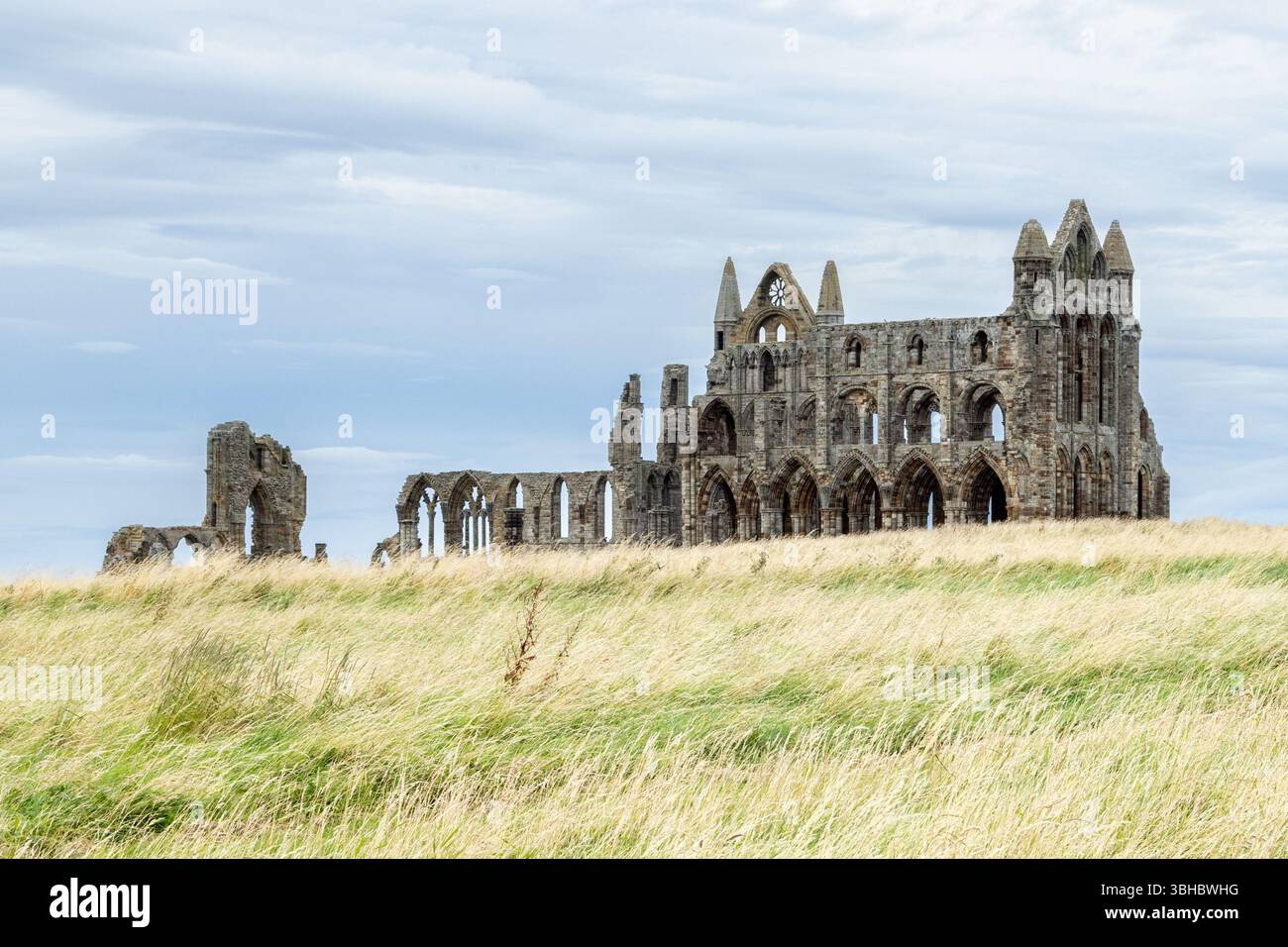 Whitby Abbey's dramatic ruins tower above the Yorkshire coast, famed ...