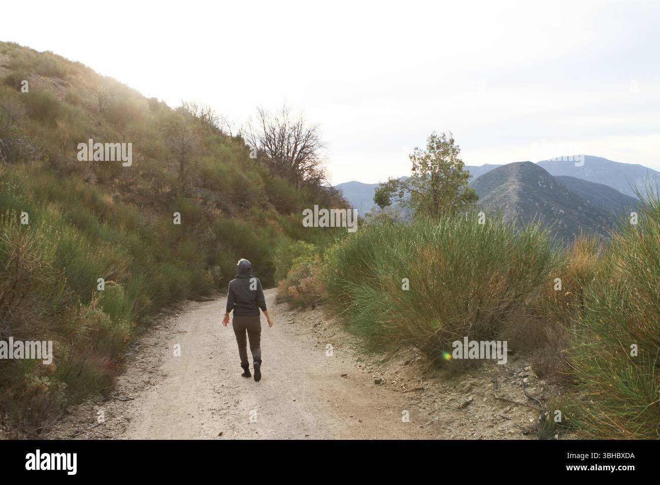 Woman walking on desert mountain hiking path Stock Photo - Alamy