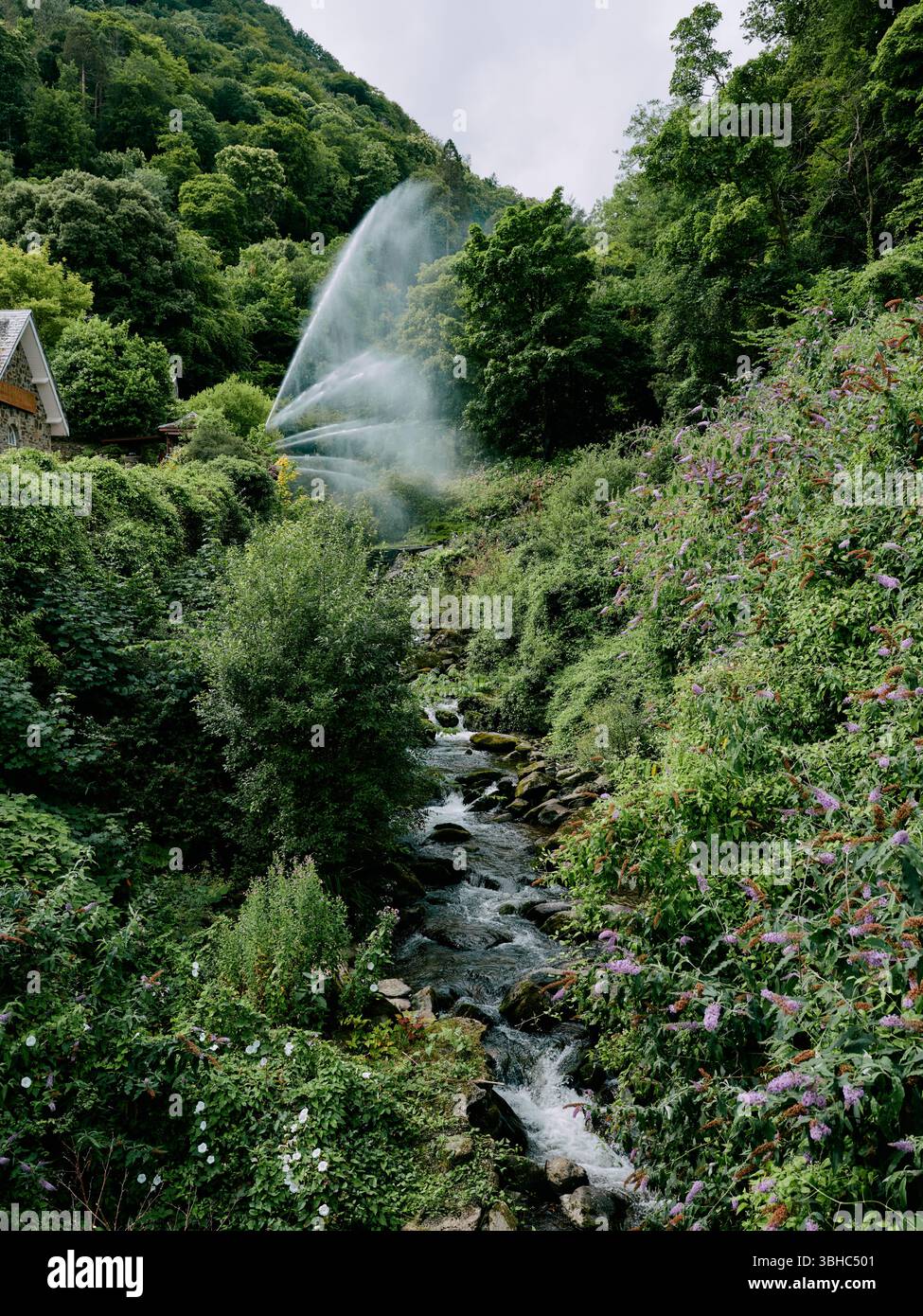 Glen Lyn Gorge, Lynmouth / Lynton Devon England UK Stock Photo - Alamy