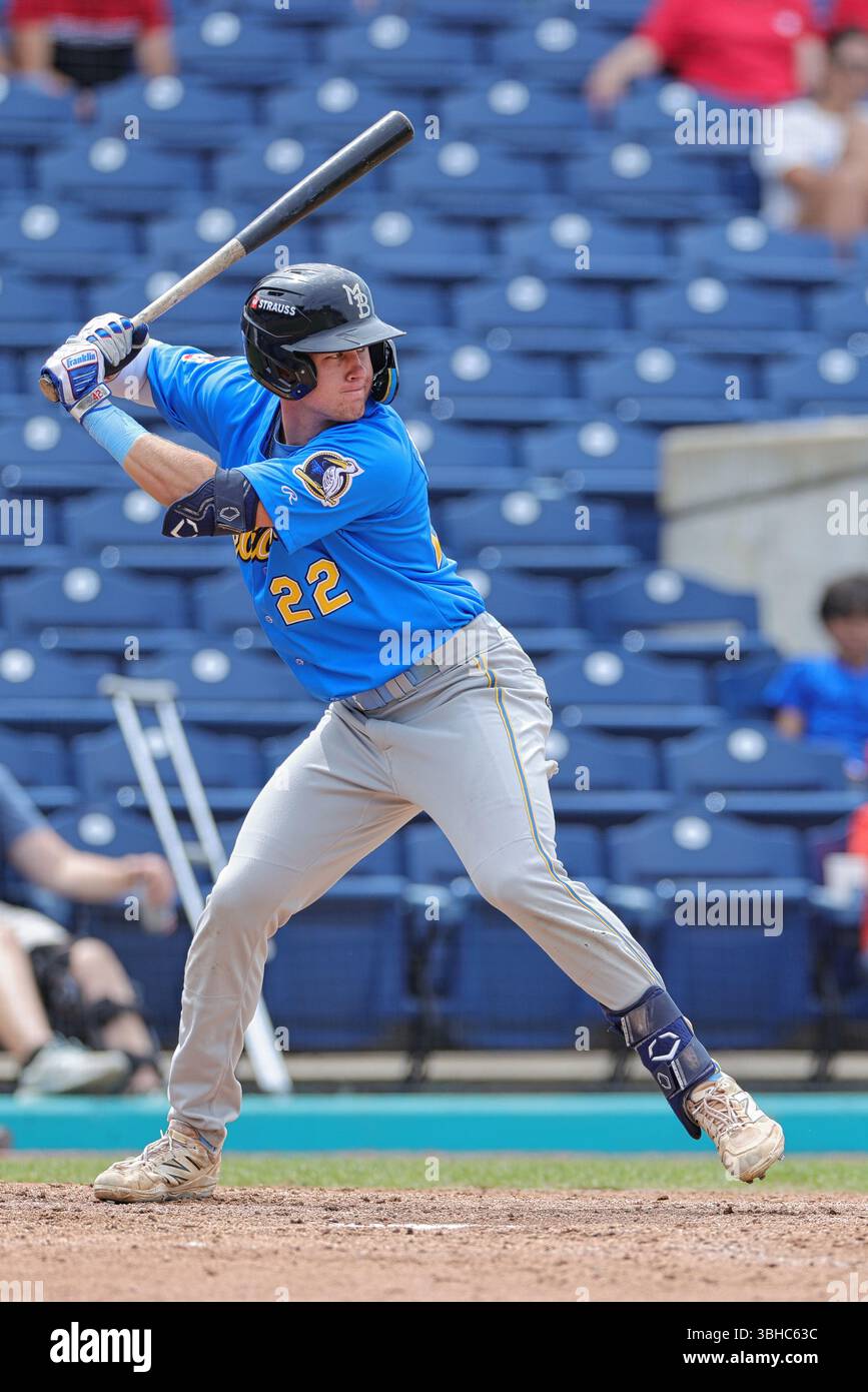 Kannapolis, NC: Myrtle Beach Pelicans designated hitter Matt Halbach ...