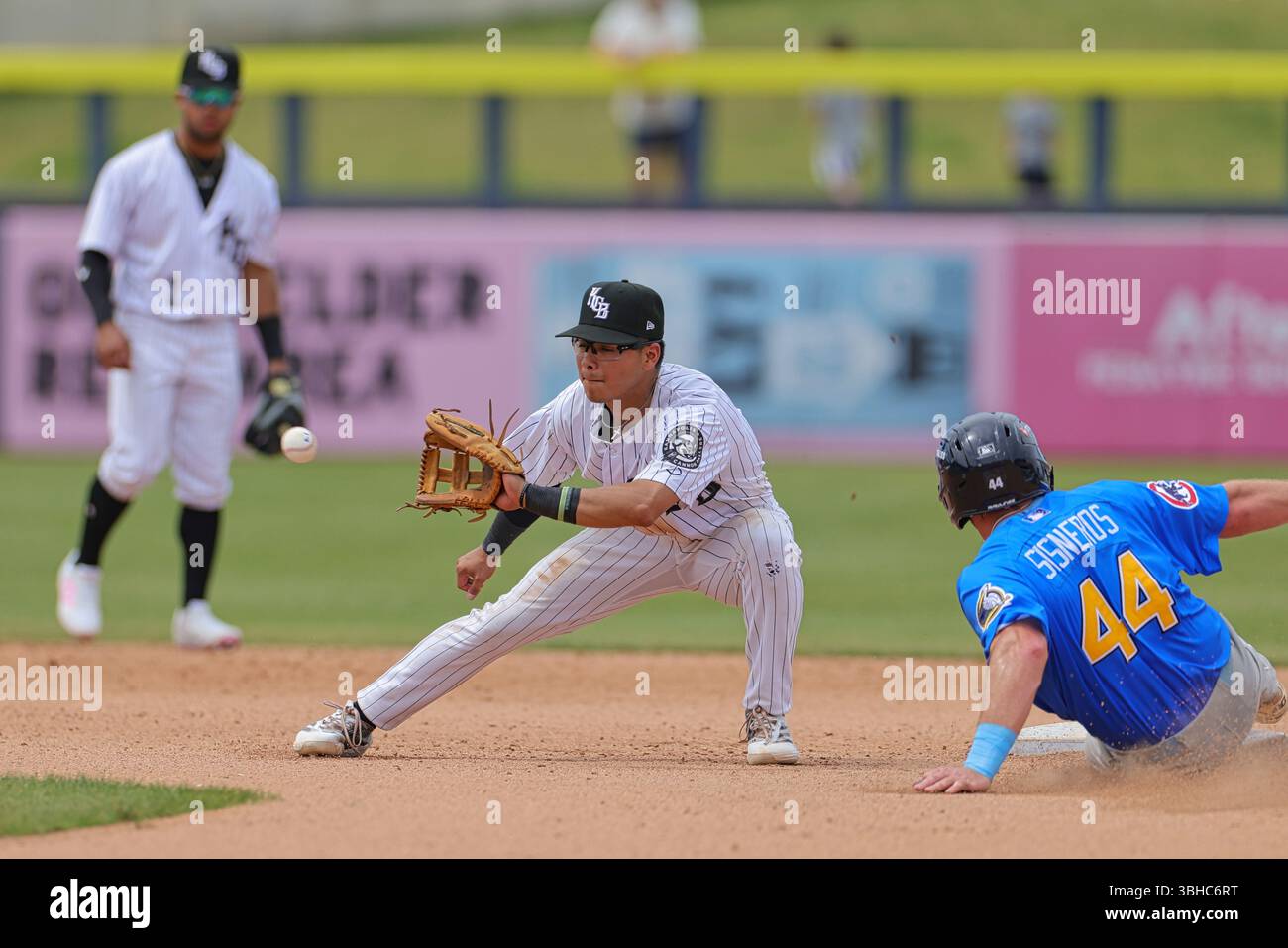 Kannapolis, NC: Myrtle Beach Pelicans first base Cameron Sisneros (44 ...