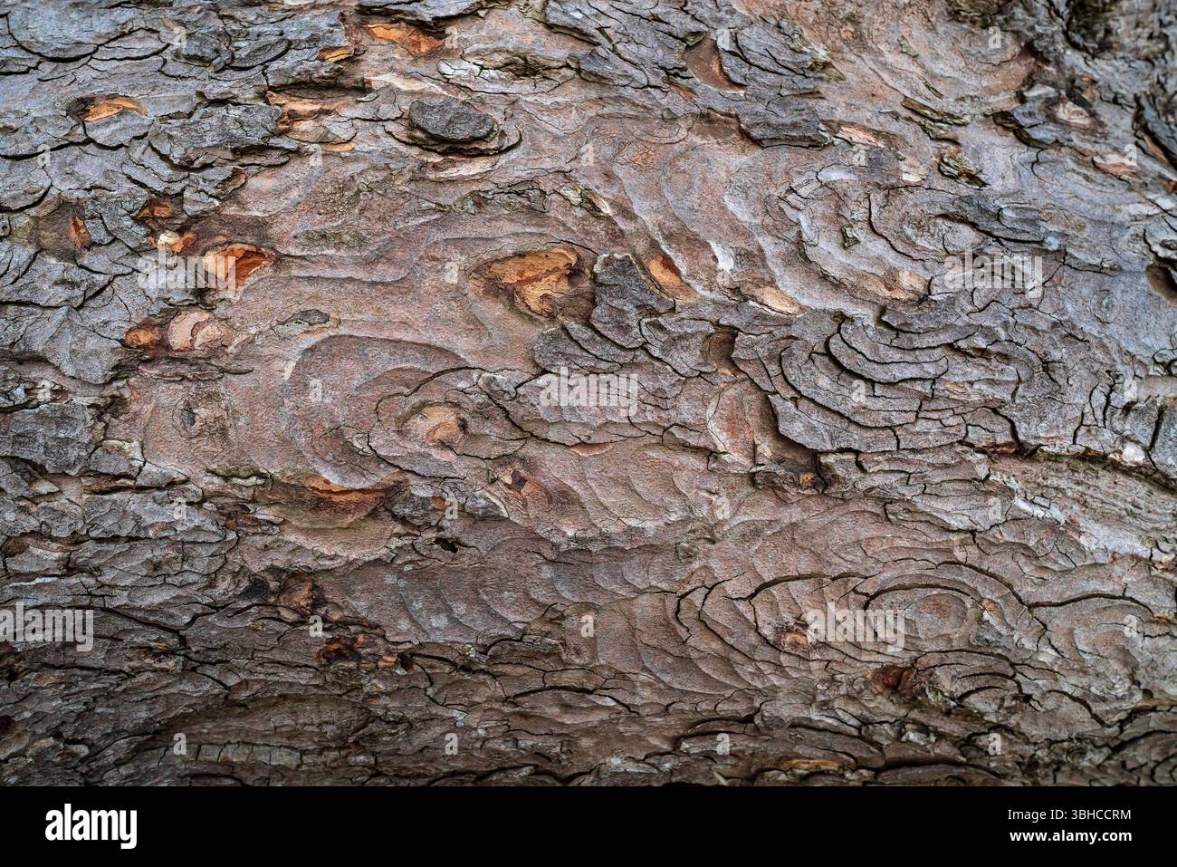 Bolehill sheffield hi-res stock photography and images - Alamy