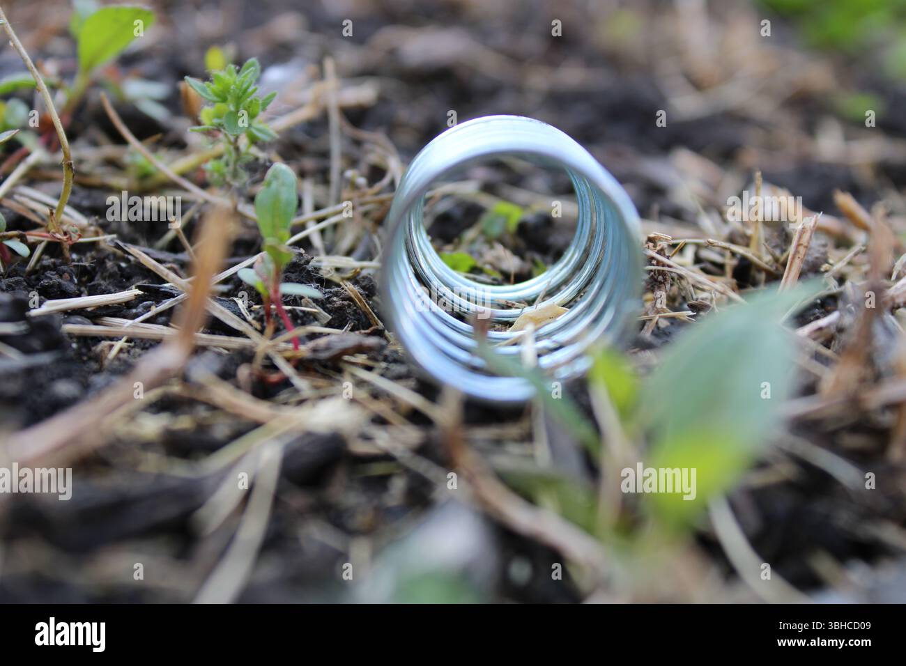 Spring photography hi-res stock photography and images - Alamy