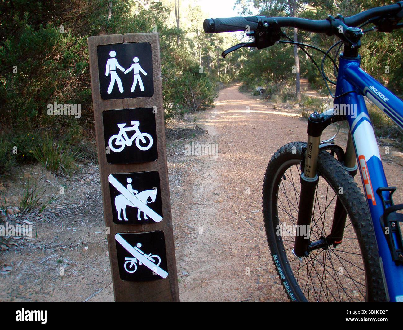 bicycle path marking on the street with pictogram of a bike bicycle ...
