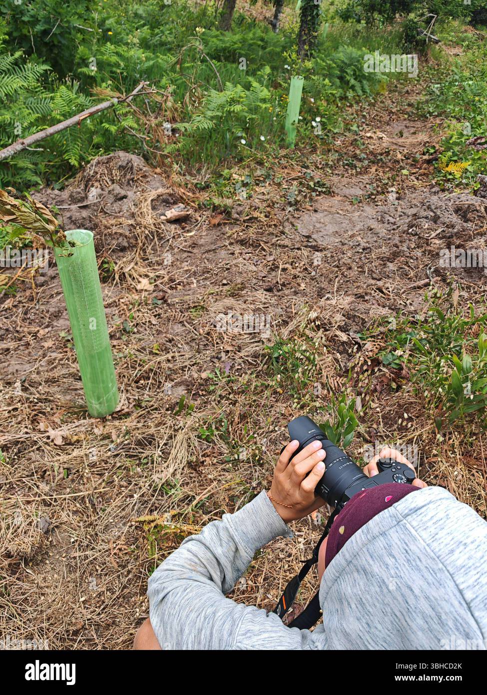 photography as a hobby, taking pictures as a leisure activity ...