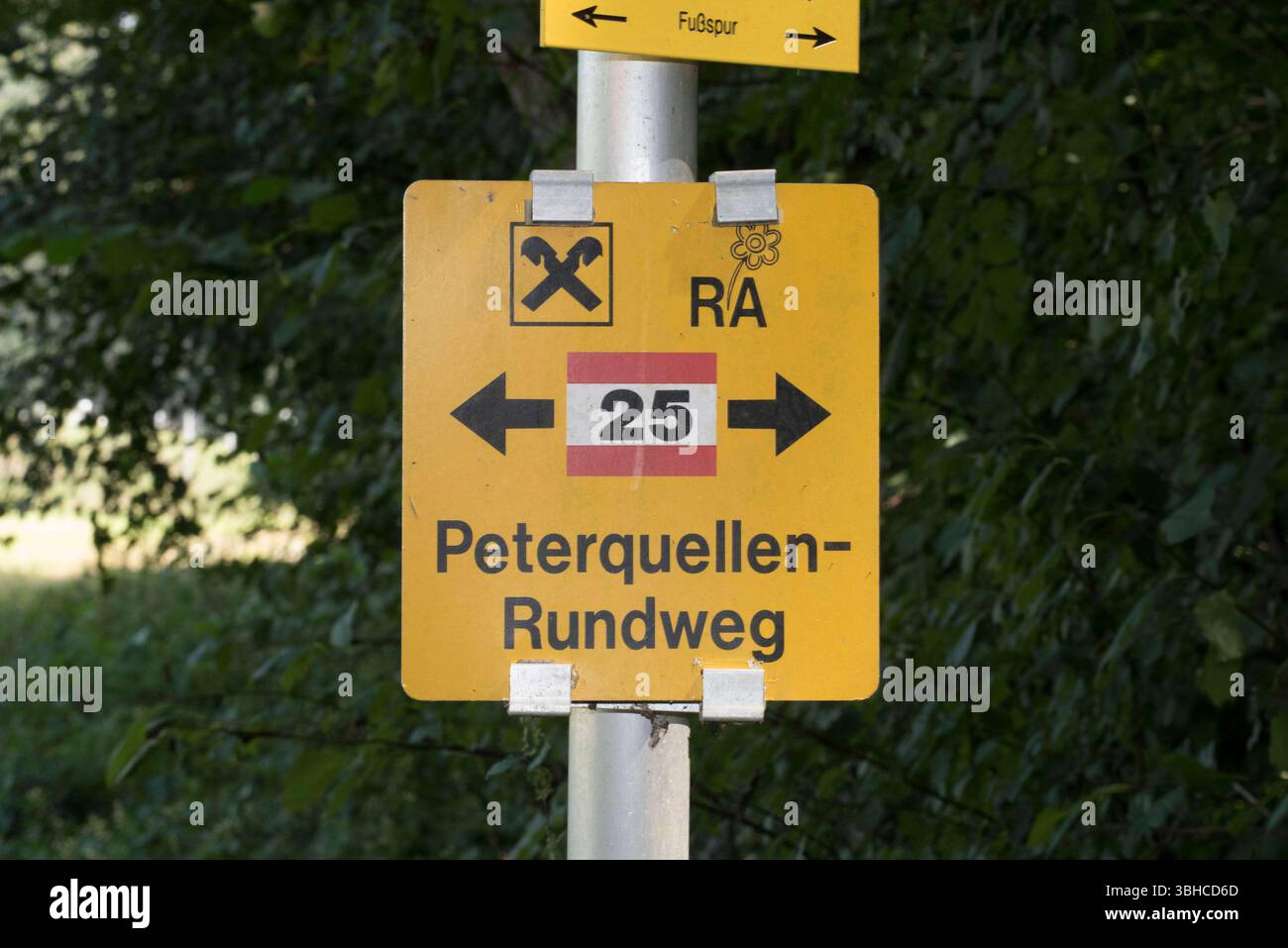 bicycle path marking on the street with pictogram of a bike bicycle ...