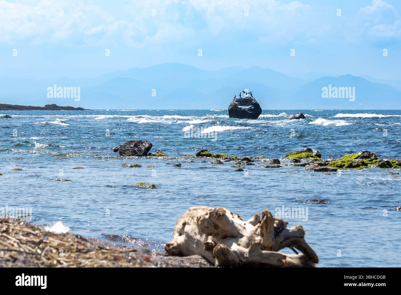 Yason ordu hi-res stock photography and images - Alamy