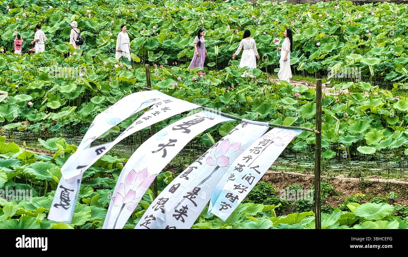 Beijing, China. 6th June, 2025. An aerial drone photo taken on June 6 ...