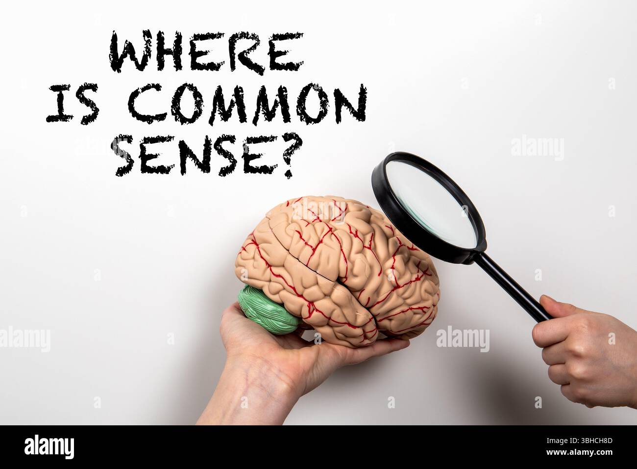 Creative Representation of Common Sense with Brain Model and Magnifying ...